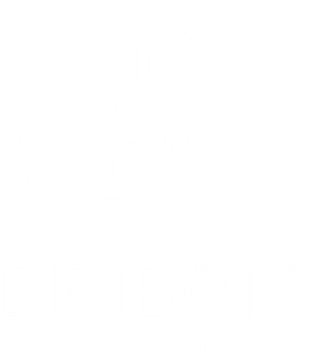 Landing Page - Digibots Creative Solutions